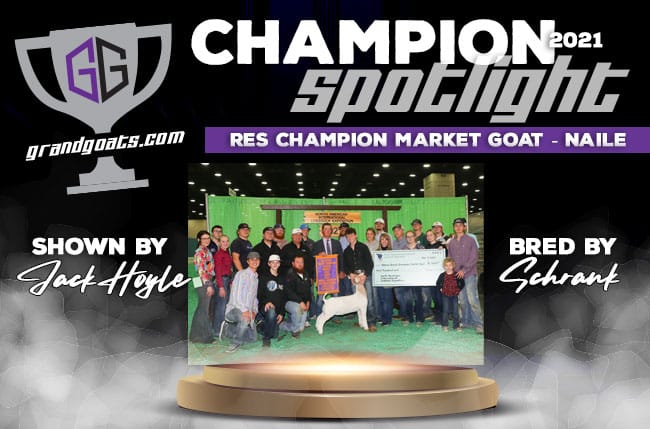 Schrank Show Goats - GrandGoats.com