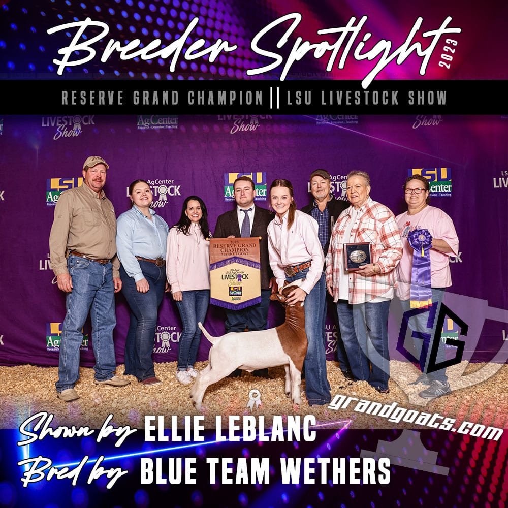 Blue Team Wethers - GrandGoats.com