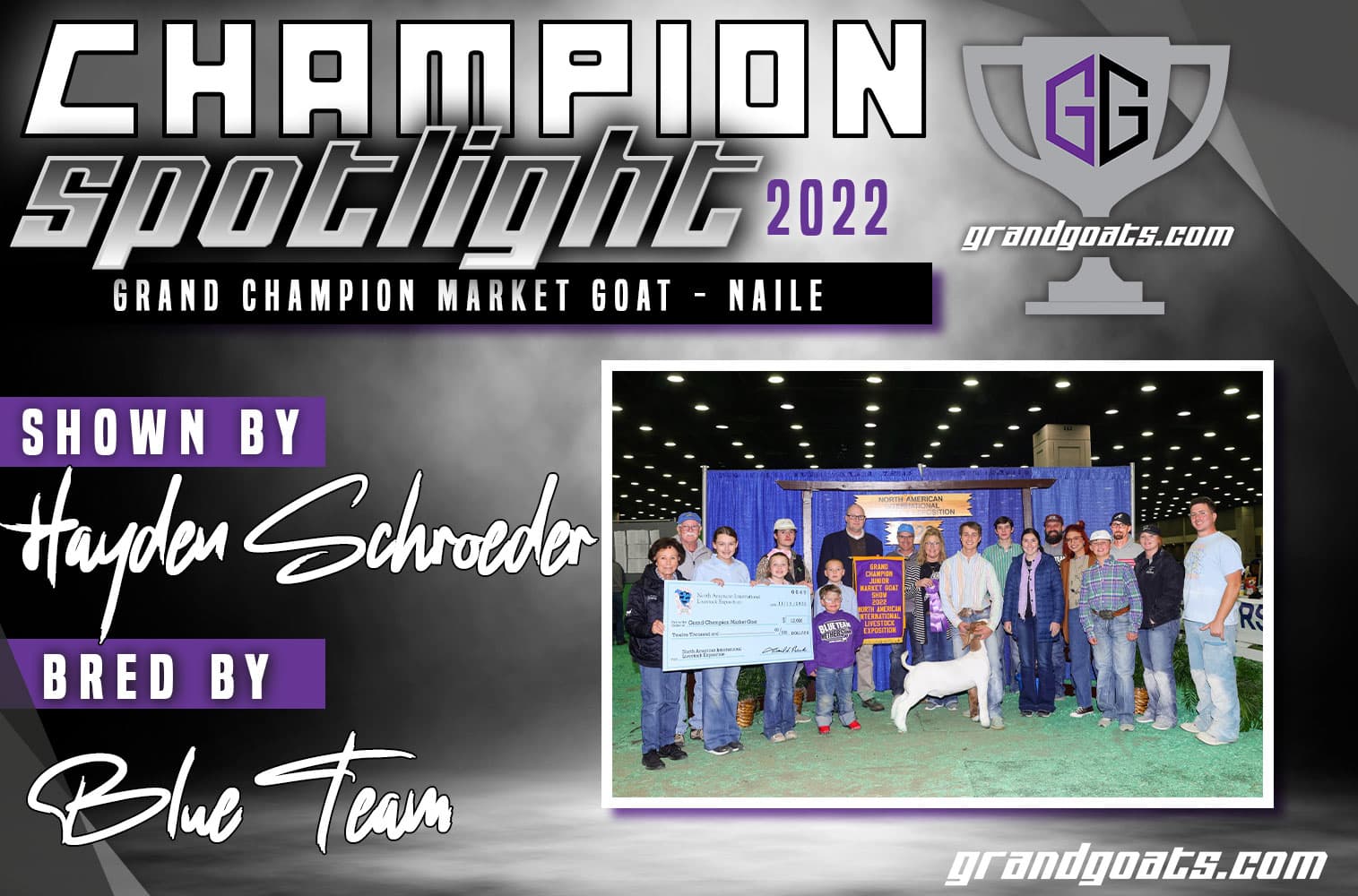 Blue Team Wethers - GrandGoats.com