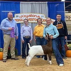 Keystone International Livestock Expo - GrandGoats.com