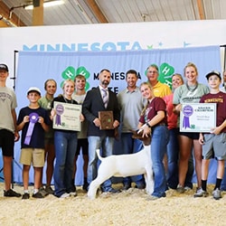 Show & Sale Results - GrandGoats.com