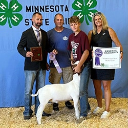 Show & Sale Results - GrandGoats.com