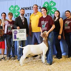 Show & Sale Results - GrandGoats.com