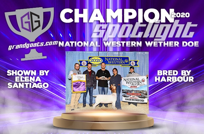 Harbour Livestock - GrandGoats.com