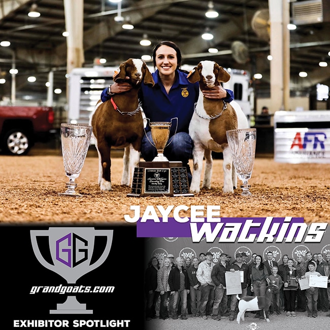 Jaycee Watkins - GrandGoats.com