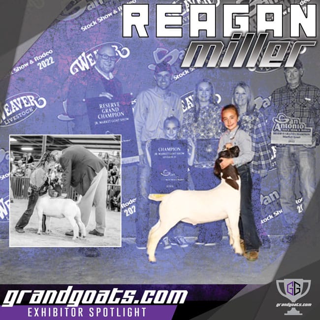 Reagan Miller - GrandGoats.com