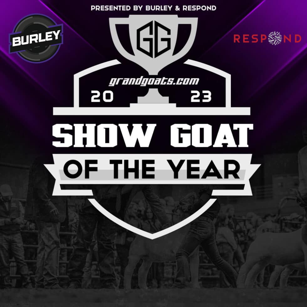 Awards of the Year - GrandGoats.com