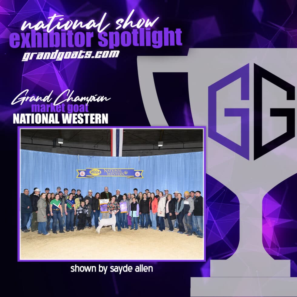 Sayde Allen - GrandGoats.com